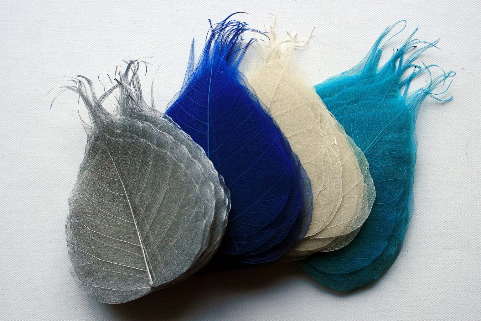 Mixed Leaf Selection Packs Archives · skeleton-leaf