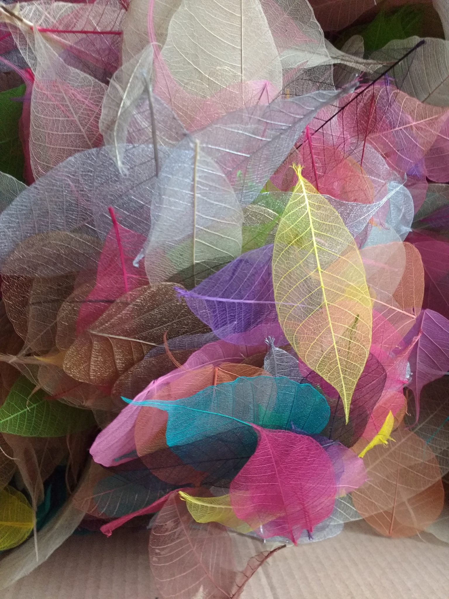 Bright & Bold Skeleton Leaves Archives · skeleton-leaf