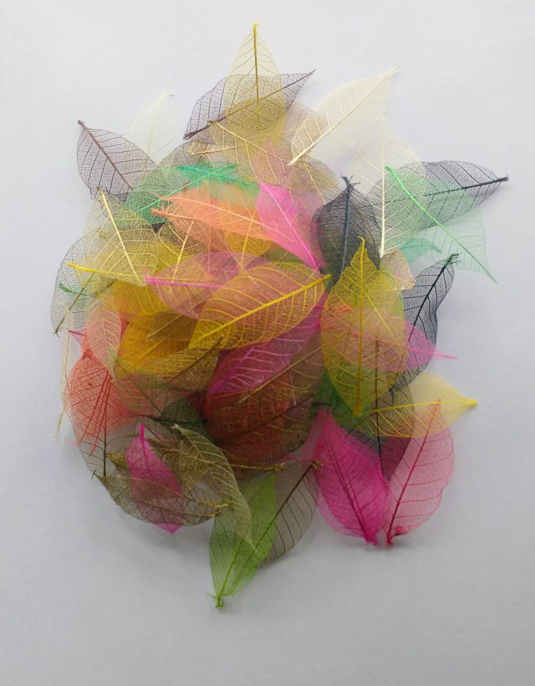 Bright & Bold Skeleton Leaves Archives · skeleton-leaf